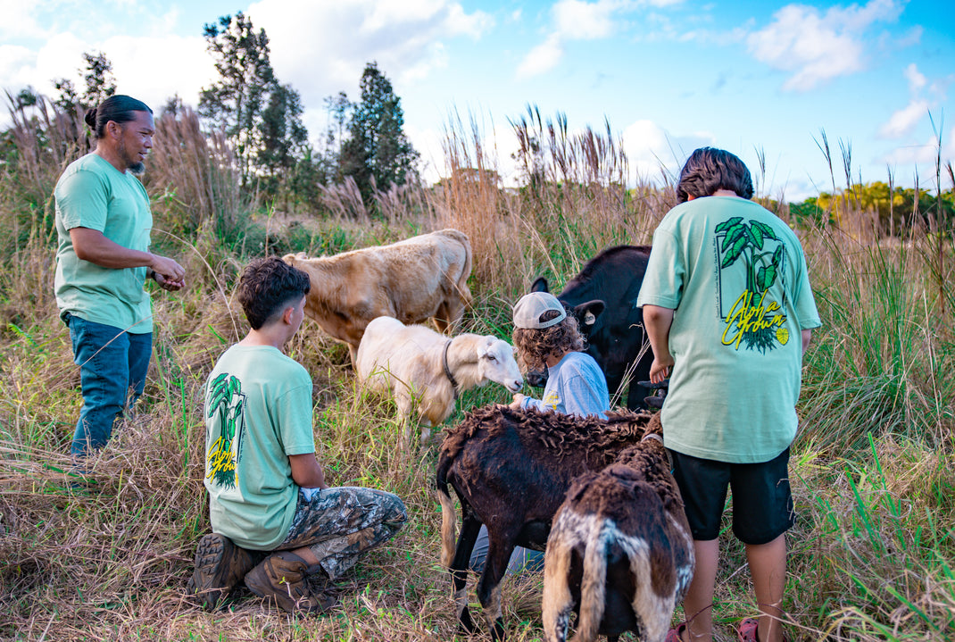 Our Story - Aloha Grown